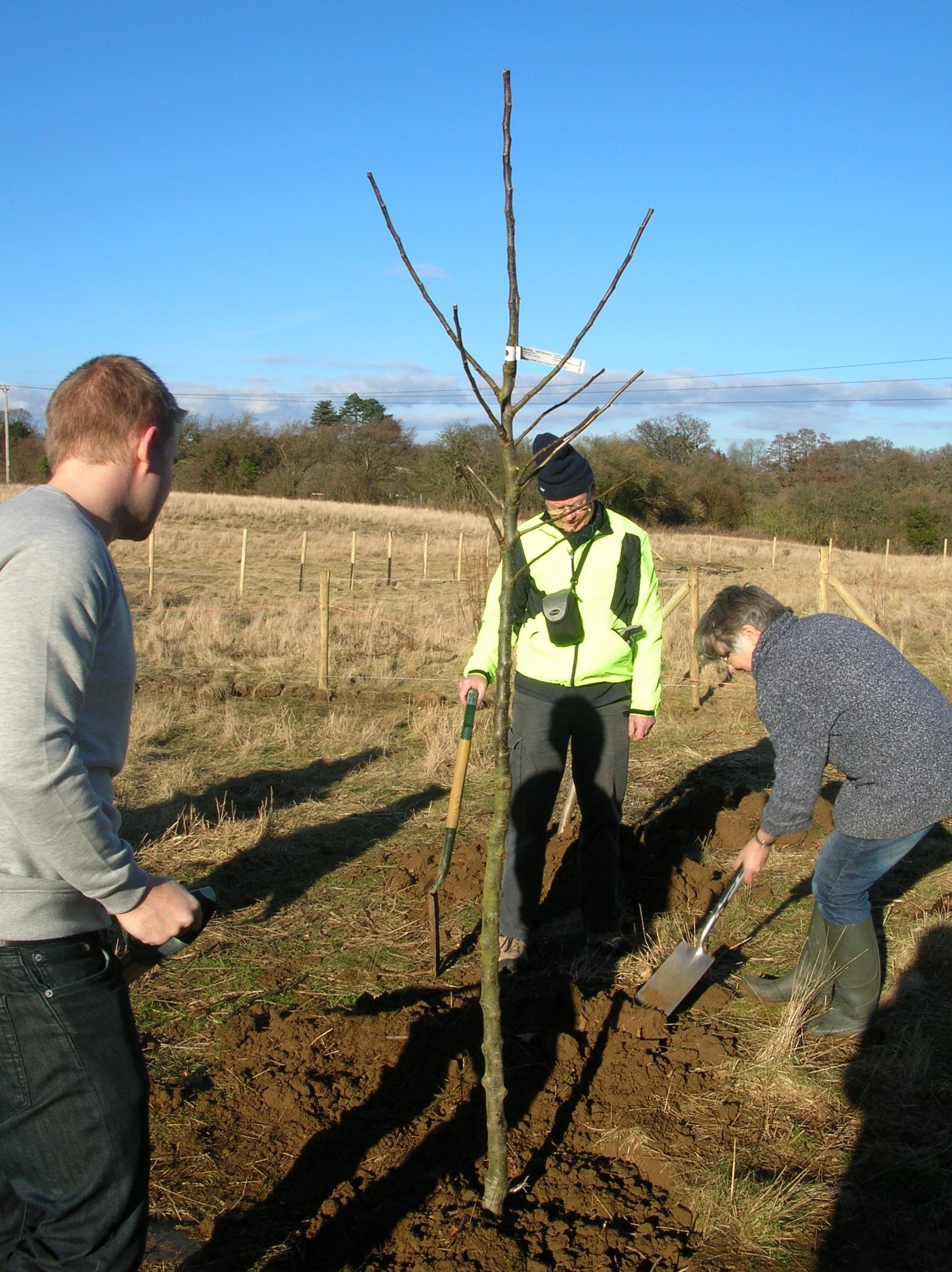 Greenhouse Drainage | Petersfield Community Garden